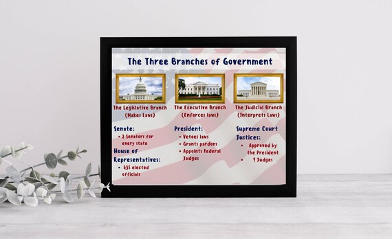 Three Branches of Government Digital Poster - Etsy