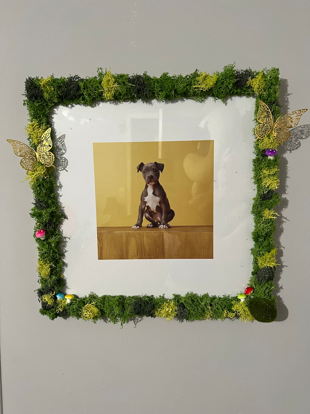 Mossy Frame - Etsy