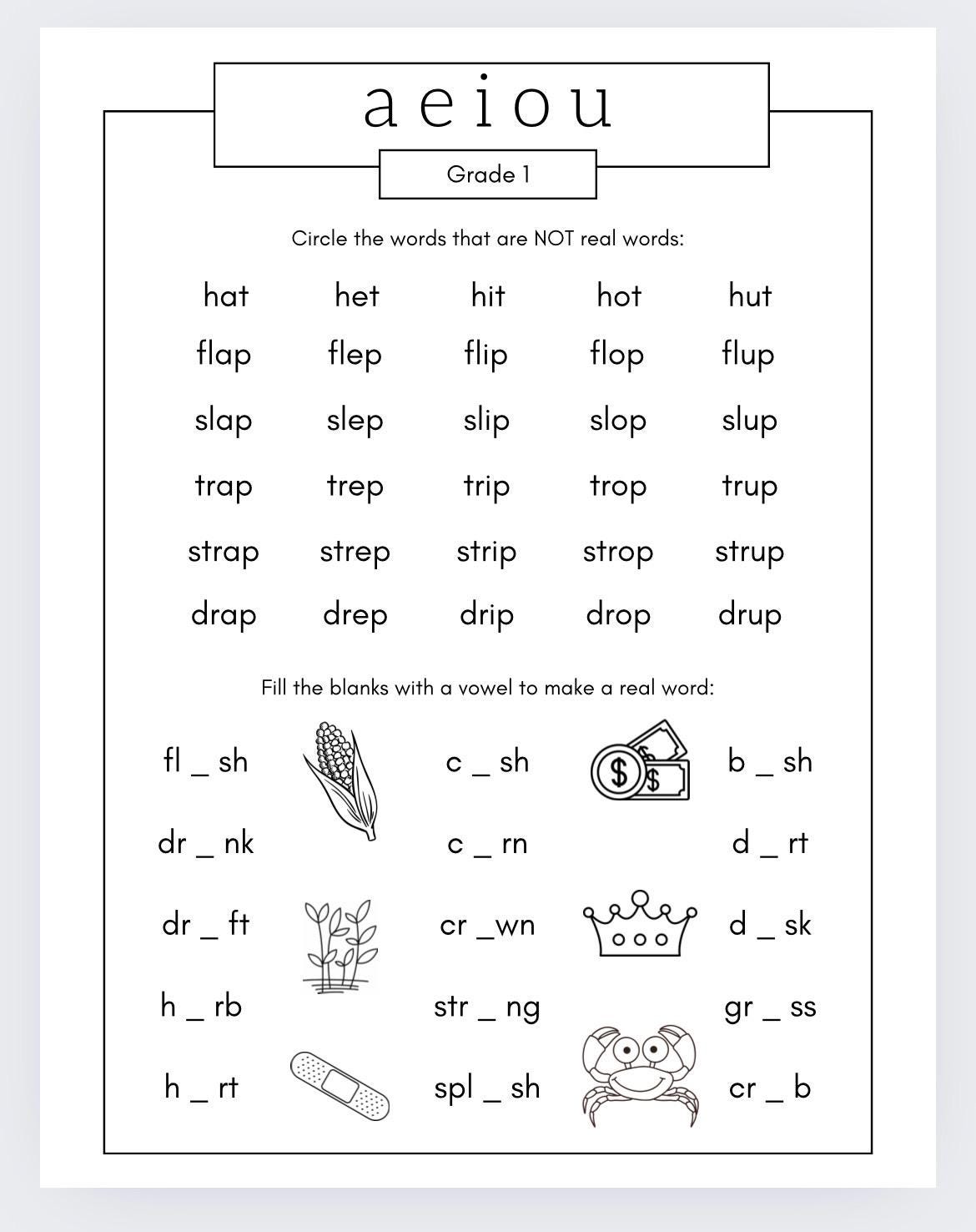 1st Grade Digital Worksheets / Printable / Math / Science/ S.S ...