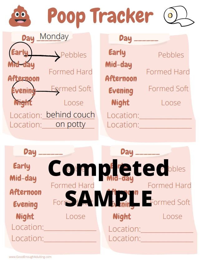Potty Training Poop Tracker Schedule - Mom Hack - Etsy