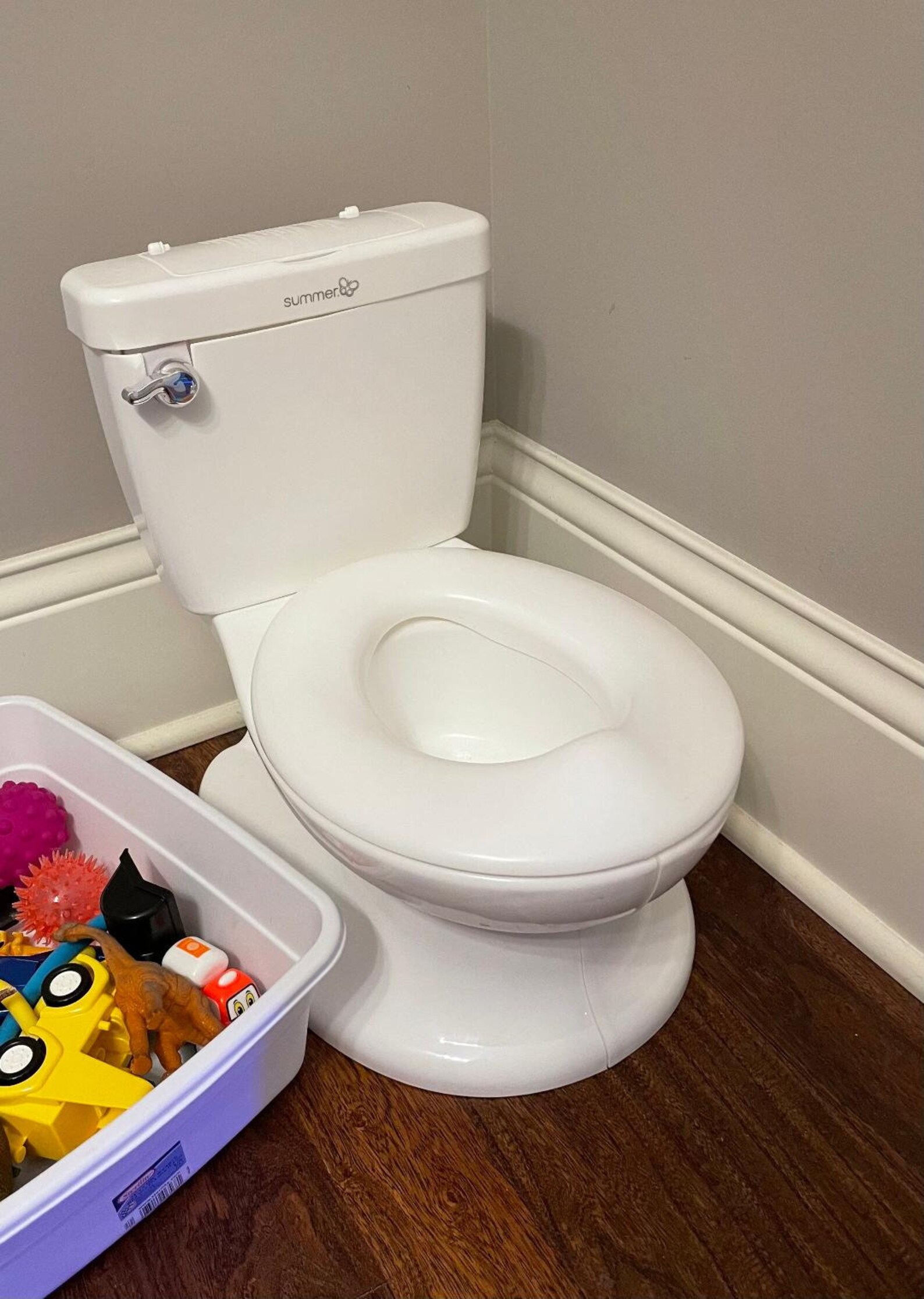 Potty Training Poop Tracker Schedule - Mom Hack - Etsy