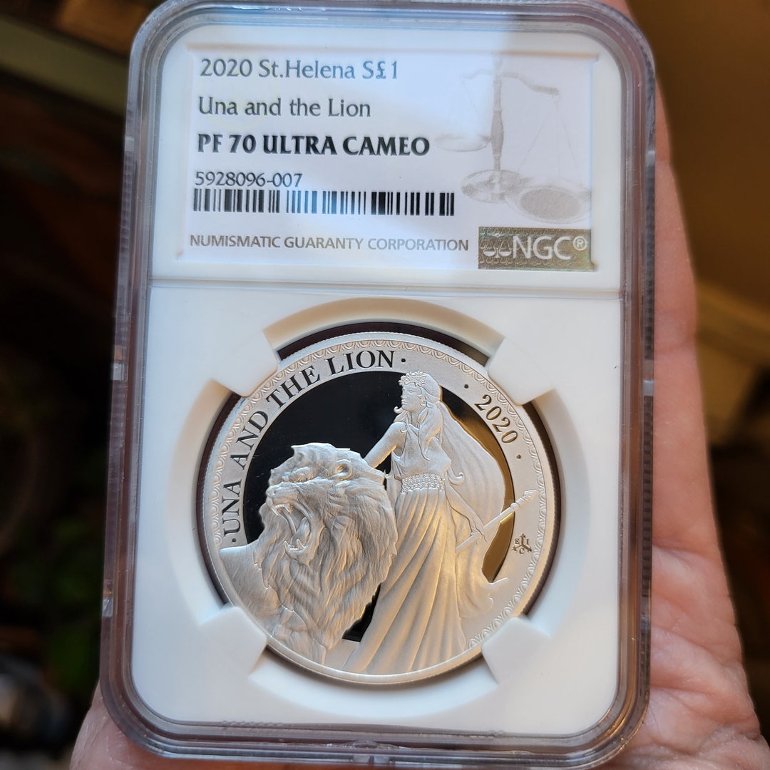 2020 Una and the Lion 1oz Silver Proof Coin NGC Graded Proof - Etsy