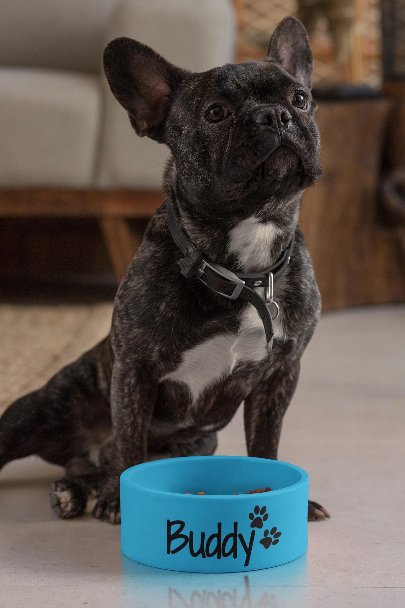 Custom Dog Bowl Decal: Personalized Waterproof Pet Name Sticker - Etsy