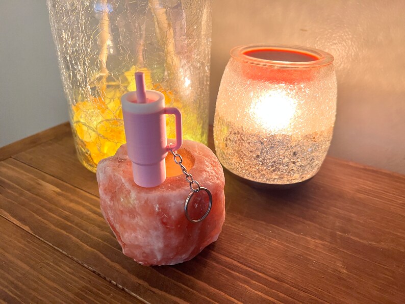 Stanley Cup Keychain Stanley Quencher Stanley Tumbler Keychain - Etsy