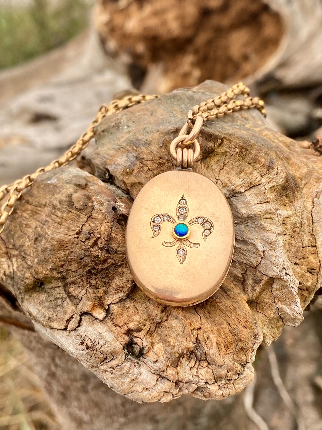 Antique Edwardian Foster & Bro Co. Gold Filled Fleur-de-lis Locket - Etsy