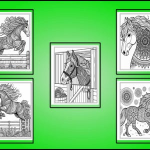 Printable Coloring Pages - 50 Zentangle Style Horses - Instant Download ...
