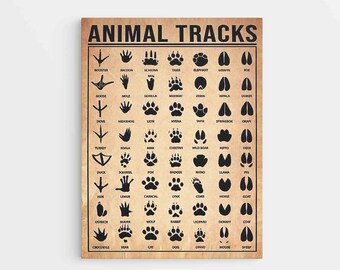 Animal Track Poster - Etsy