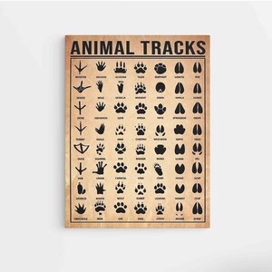 Animal Tracks Poster Woodland Animal Prints Canvas Vintage - Etsy