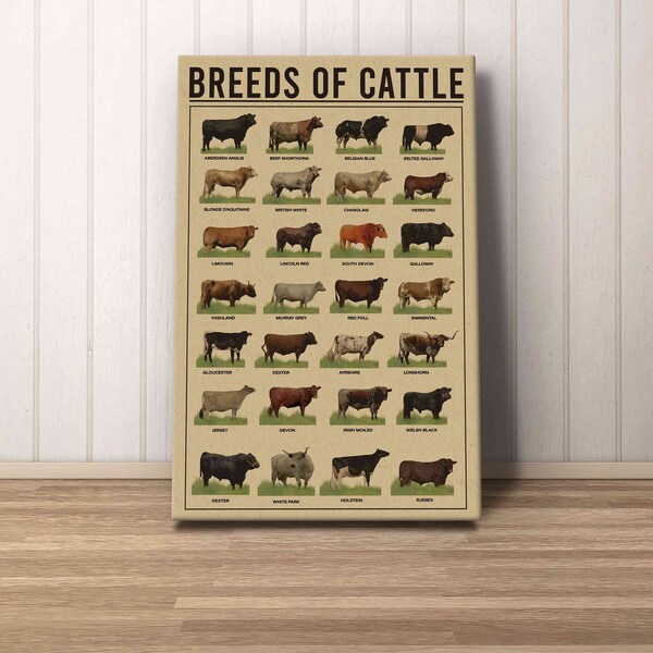 Cattle Breeds Poster - Etsy Australia