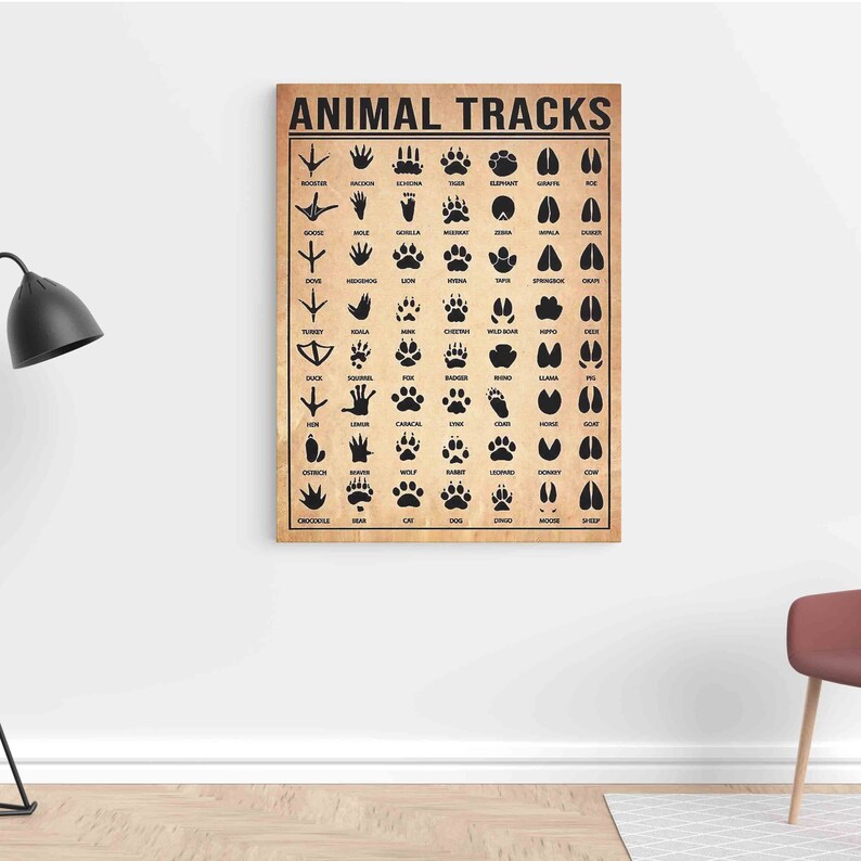 Animal Tracks Poster Woodland Animal Prints Canvas Vintage - Etsy