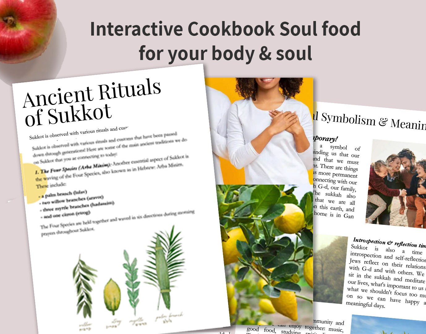 Hardcover Sukkot Cookbook & Spiritual Preparation, Recipes, Lulav Etrog ...