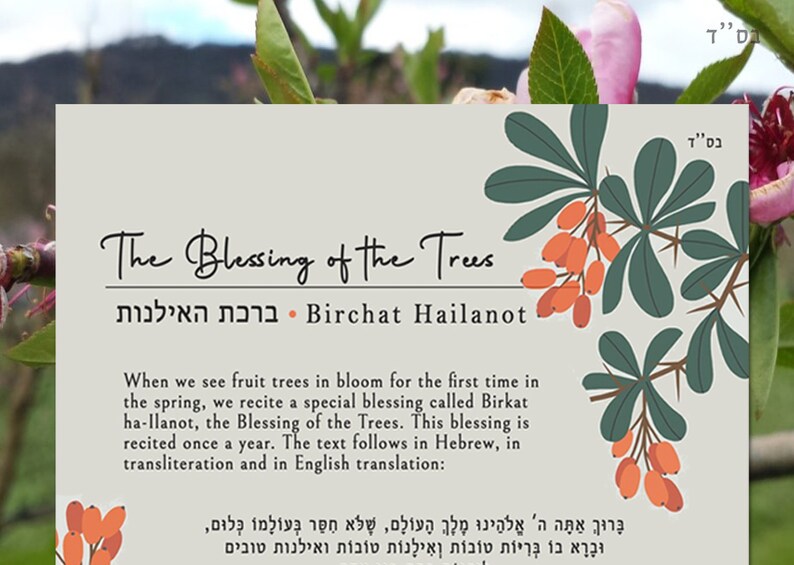 Blessing of Fruit Trees Printable Sheet Download Brachat - Etsy