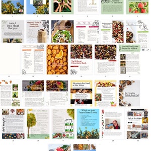 Tu Bishvat Cookbook Hardcover Book Recipes Blessings Spiritual Gift ...