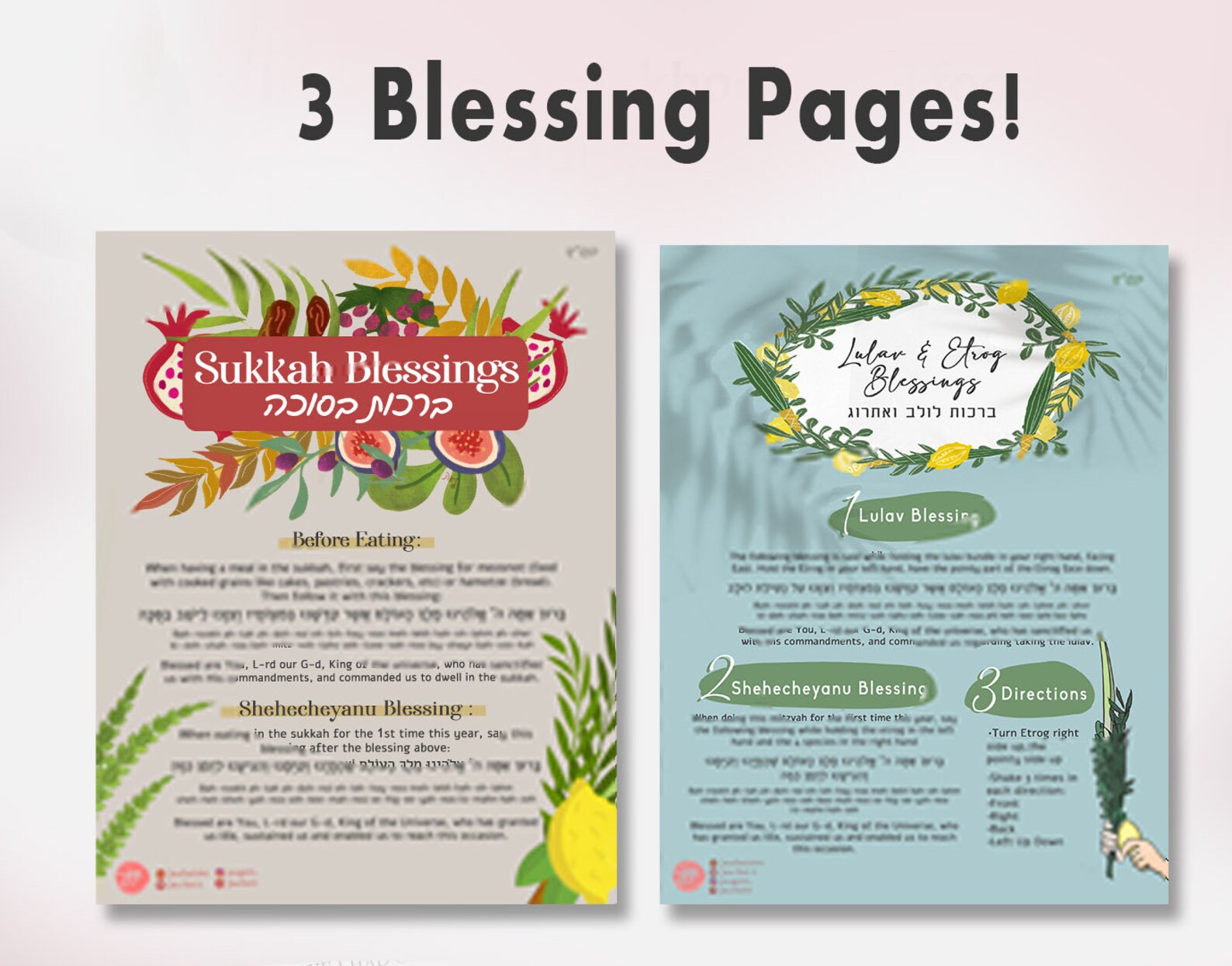 Hardcover Sukkot Cookbook & Spiritual Preparation, Recipes, Lulav Etrog ...