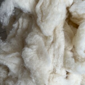 Wool Stuffing, Pure Wool, Natural Wool, Wool Filling, Merino Wool ...