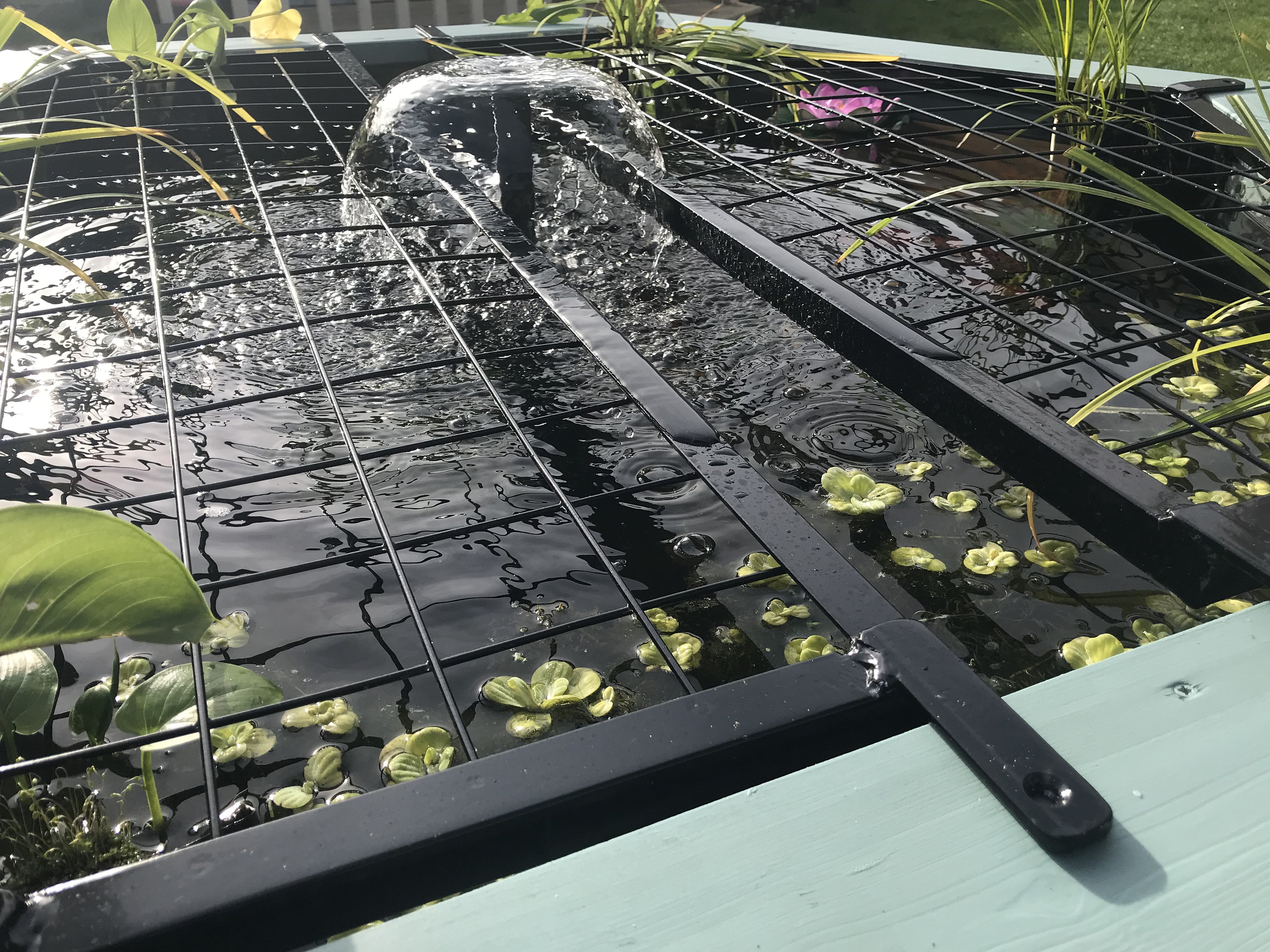 Garden Aquarium Steel Galvanised Pond Guard - Etsy