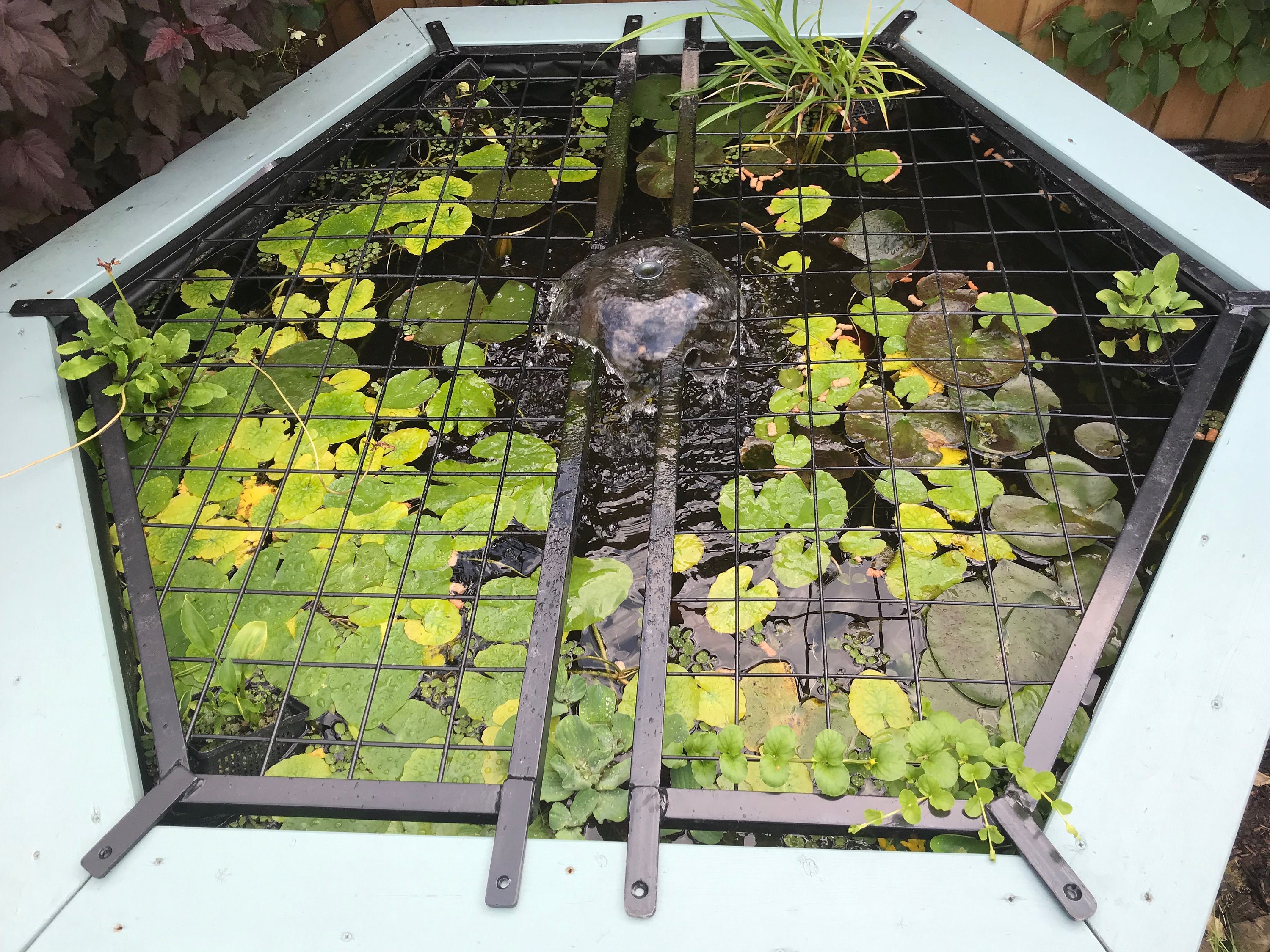 Garden Aquarium Steel Galvanised Pond Guard - Etsy