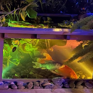 172 Gallon Raised Square Wooden Fish Pond With Large Windows - Lotus ...