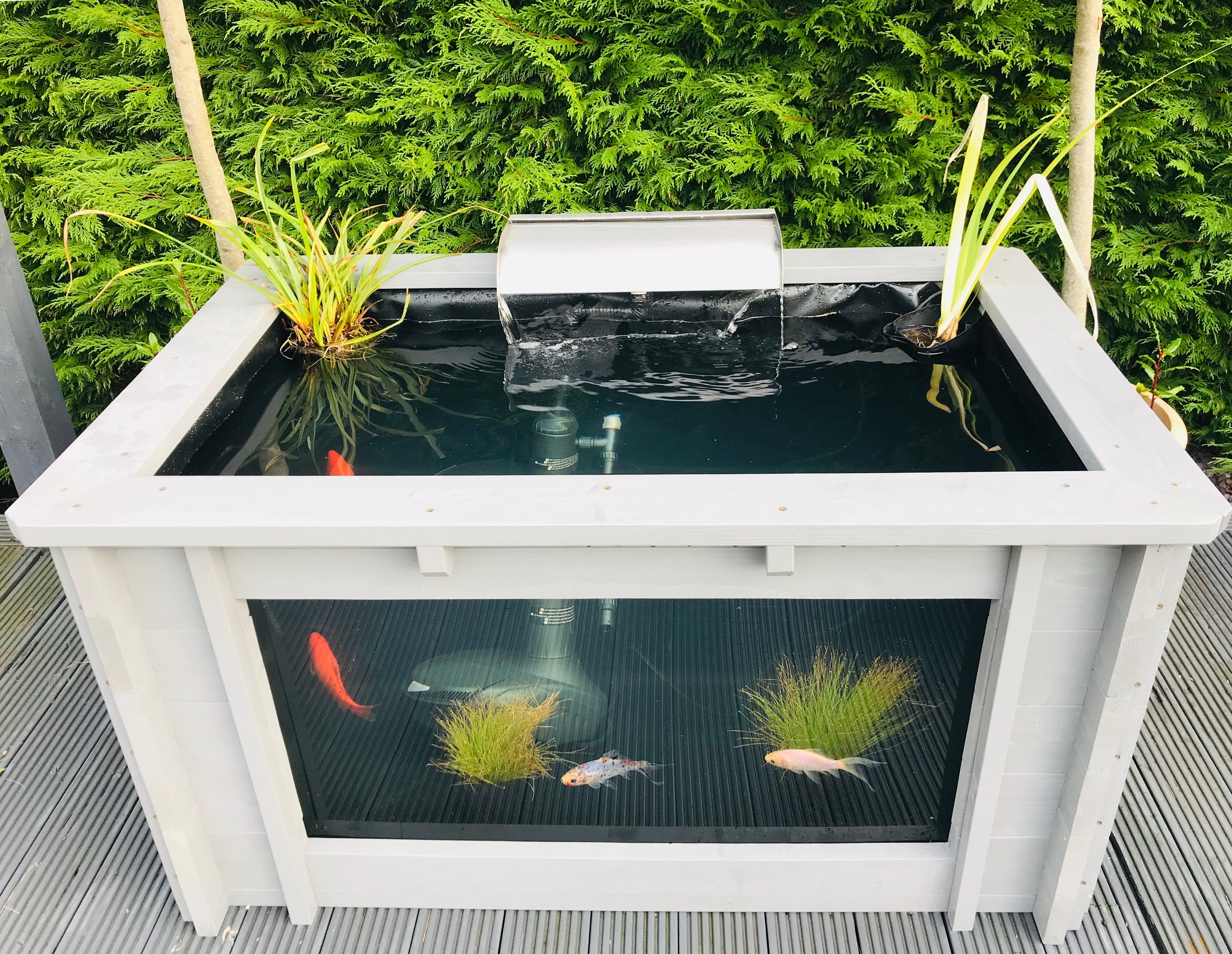 140 Gallon Raised Rectangle Wood Fish Pond With Large Window - Iris ...