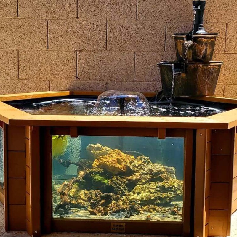 Fish Pond Above Ground - Etsy