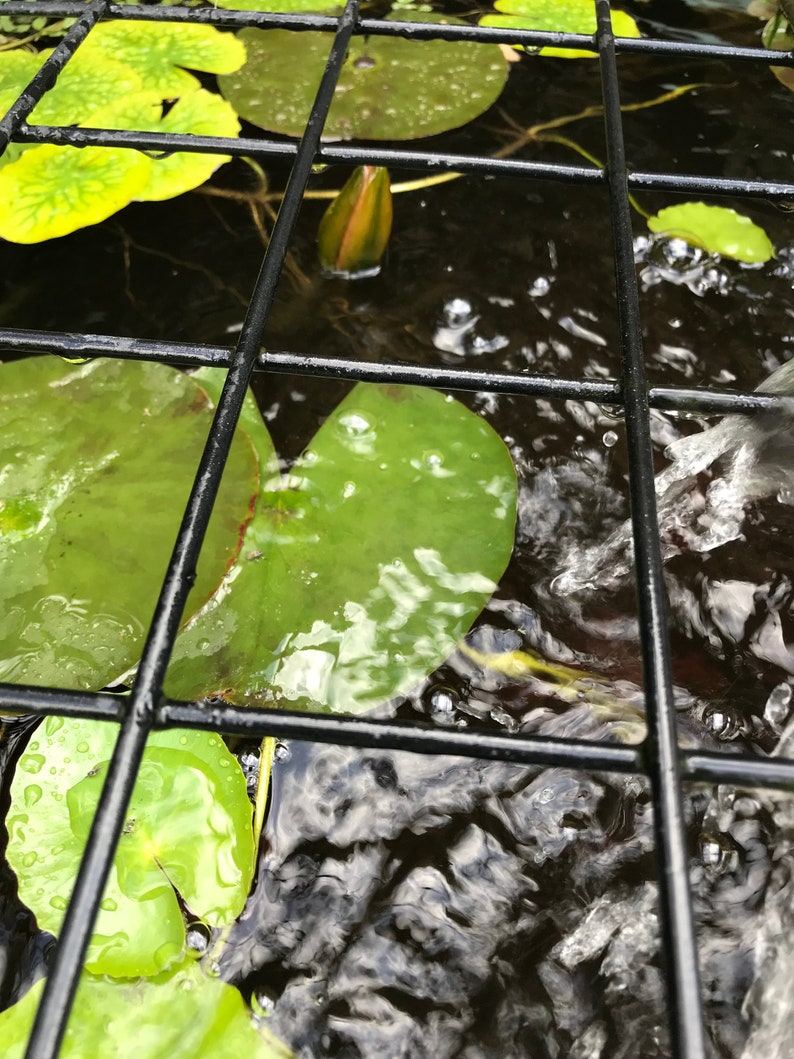 Garden Aquarium Steel Galvanised Pond Guard - Etsy
