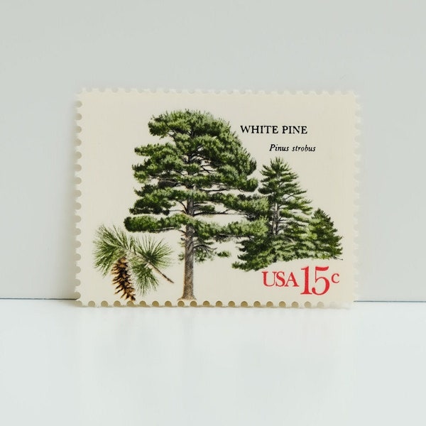 Pine Tree Stamp - Etsy