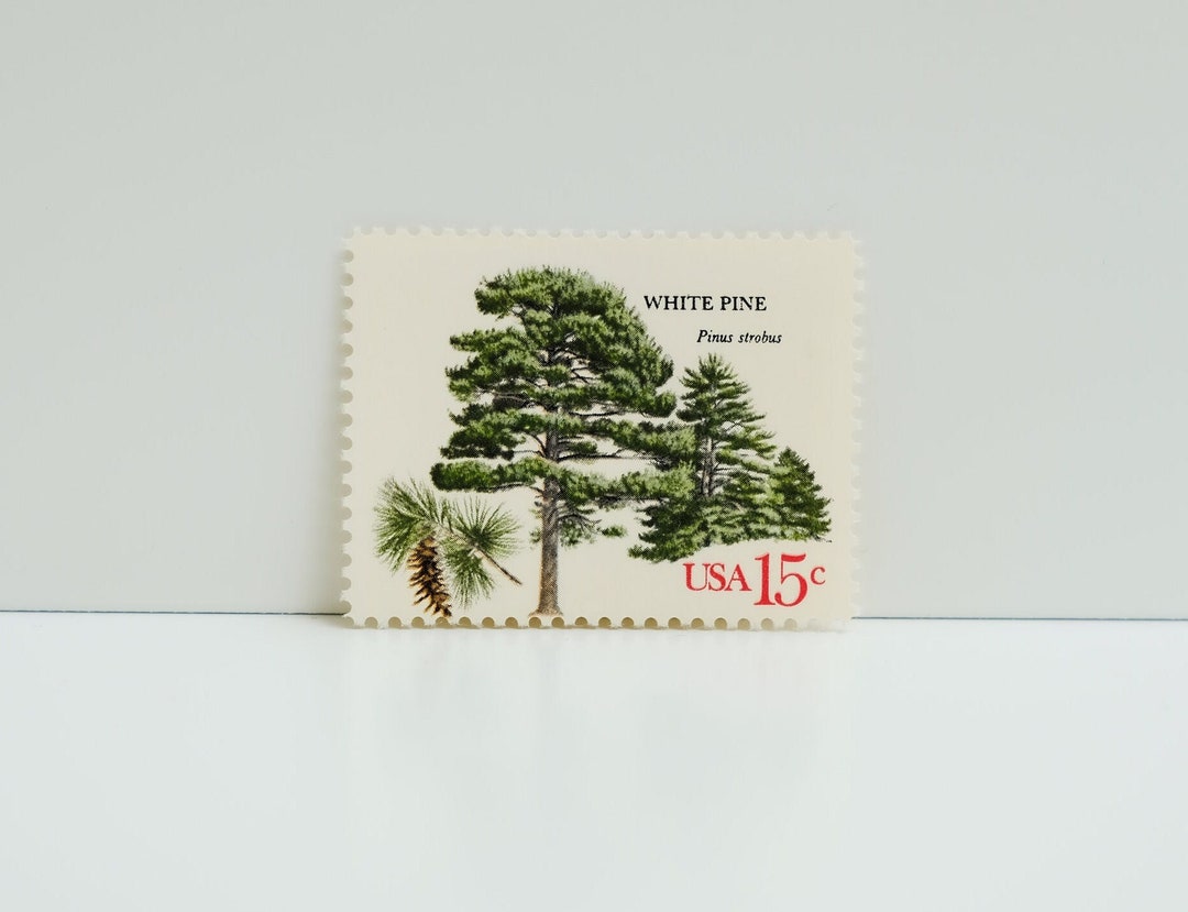 Vintage Unused Stamp - American Trees: White Pine - 15 Cents - Etsy