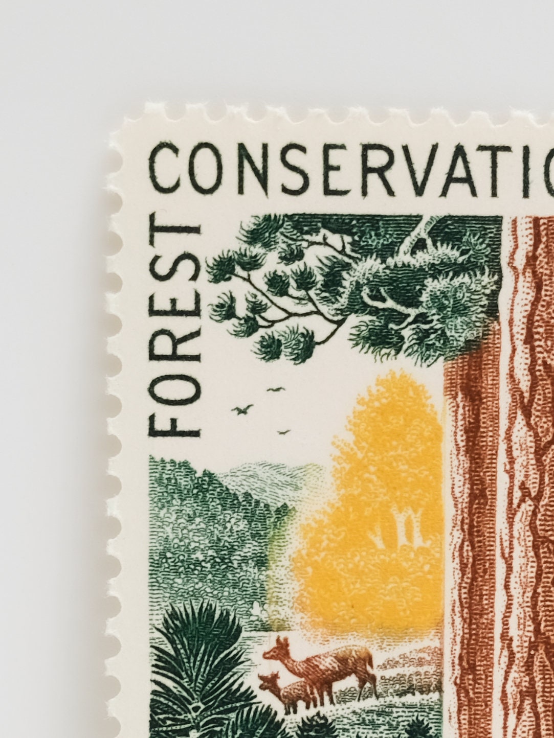 Vintage Unused Stamp Forest Conservation 4 Cents - Etsy