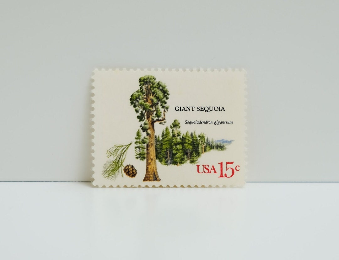 Vintage Unused Stamp - American Trees: Giant Sequoia - 15 Cents - Etsy
