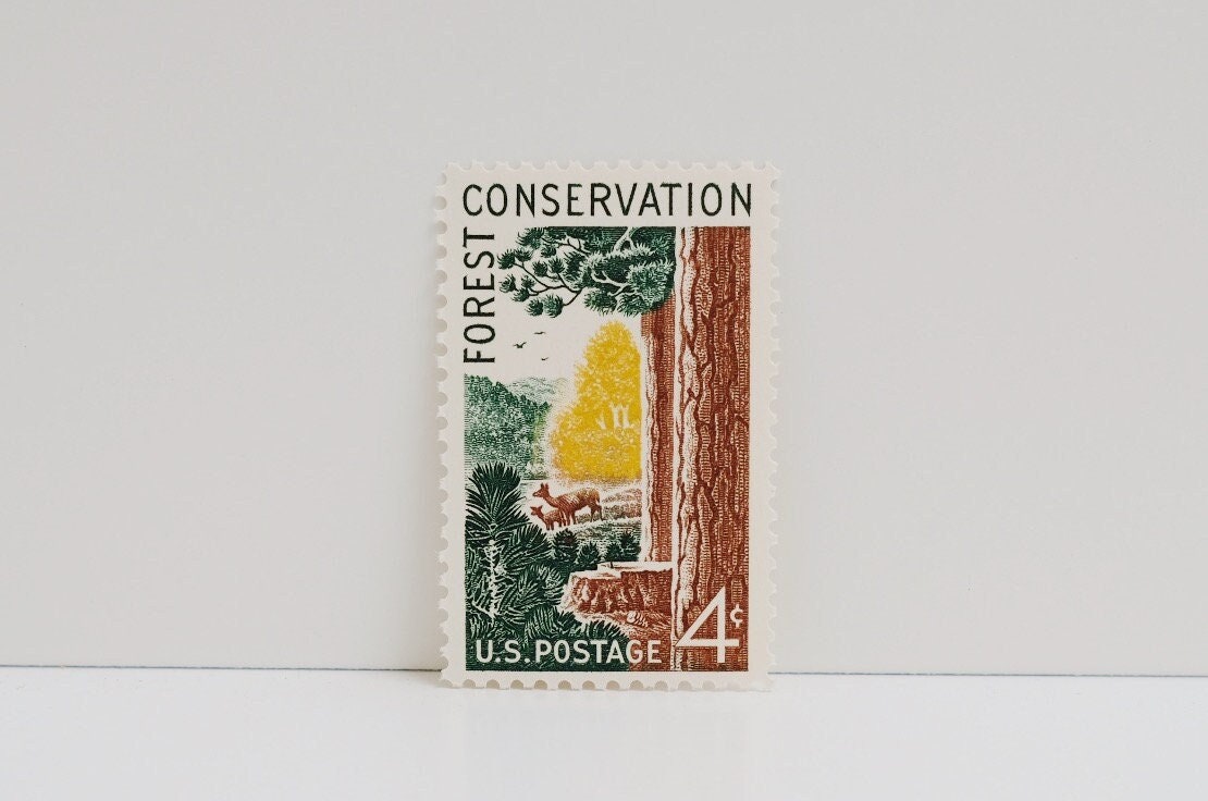 Vintage Unused Stamp - Forest Conservation - 4 Cents - Etsy