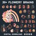 Flower Brain Svg Bundle, Brain Clipart, Brain Svg, Brain Png, Neurons ...