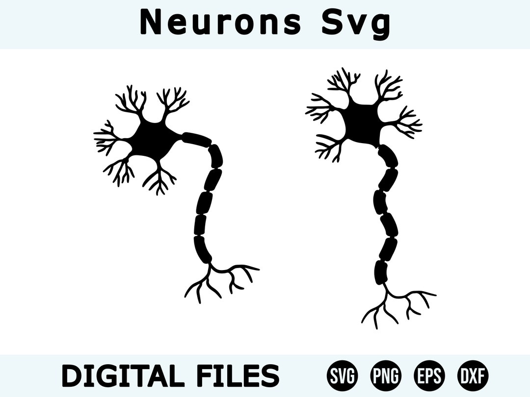 Neurons Svg, Dopamine Svg, Brain Clipart, Brain Svg, Biology Svg, Neuro ...