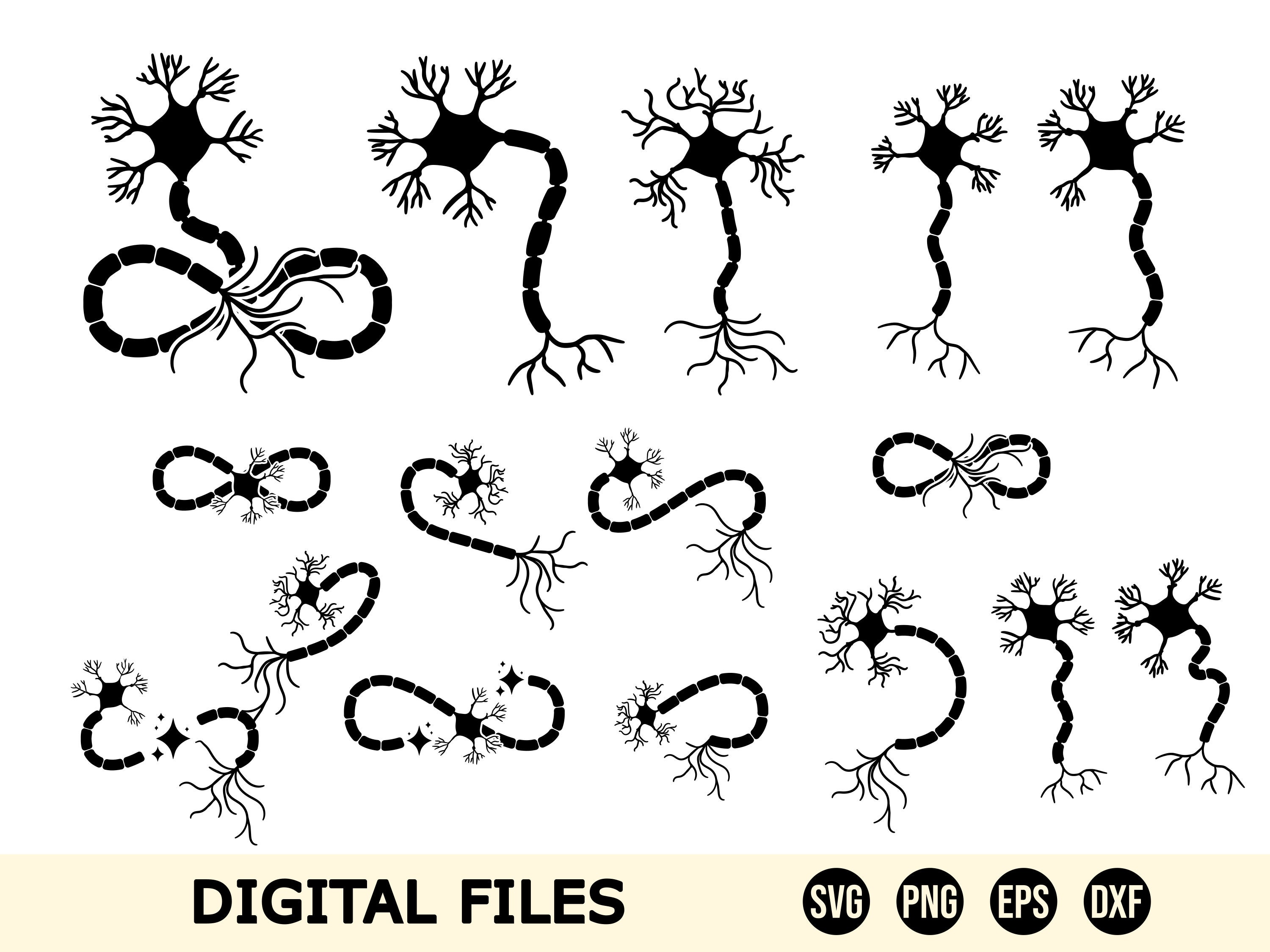 Neurons Svg, Dopamine Svg, Brain Clipart, Neuro Nerves, Biology Svg ...