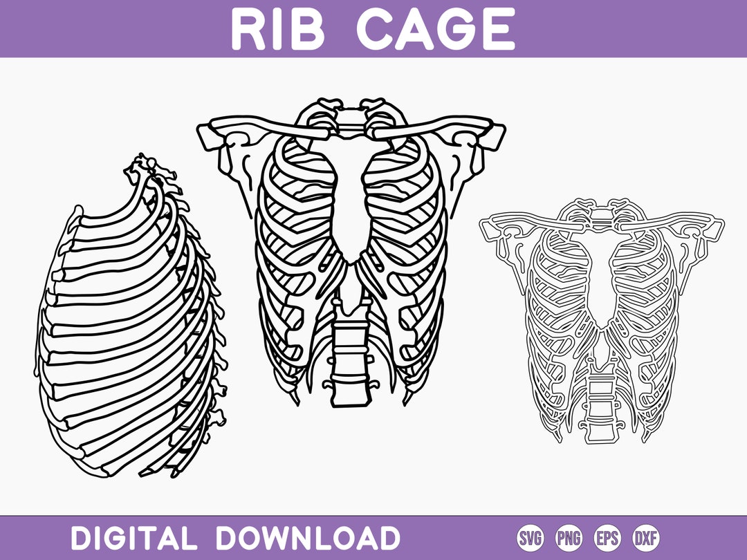 Rib Cage Svg, Rib Cage Png, Rib Cage Clipart, Trendy Halloween Clipart ...