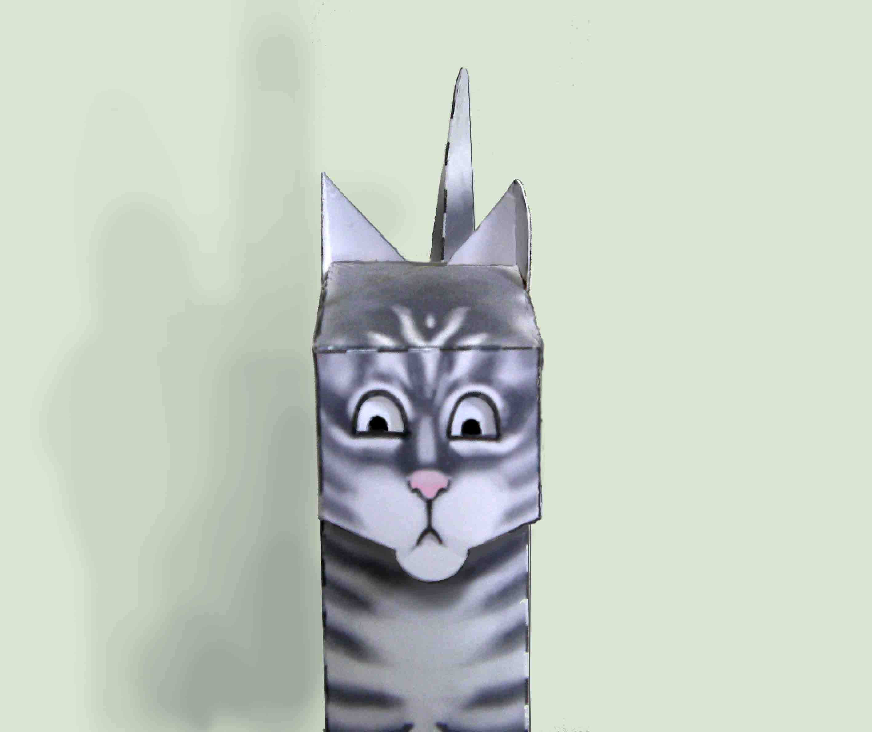 Cat and Mouse Automata Kit - Etsy