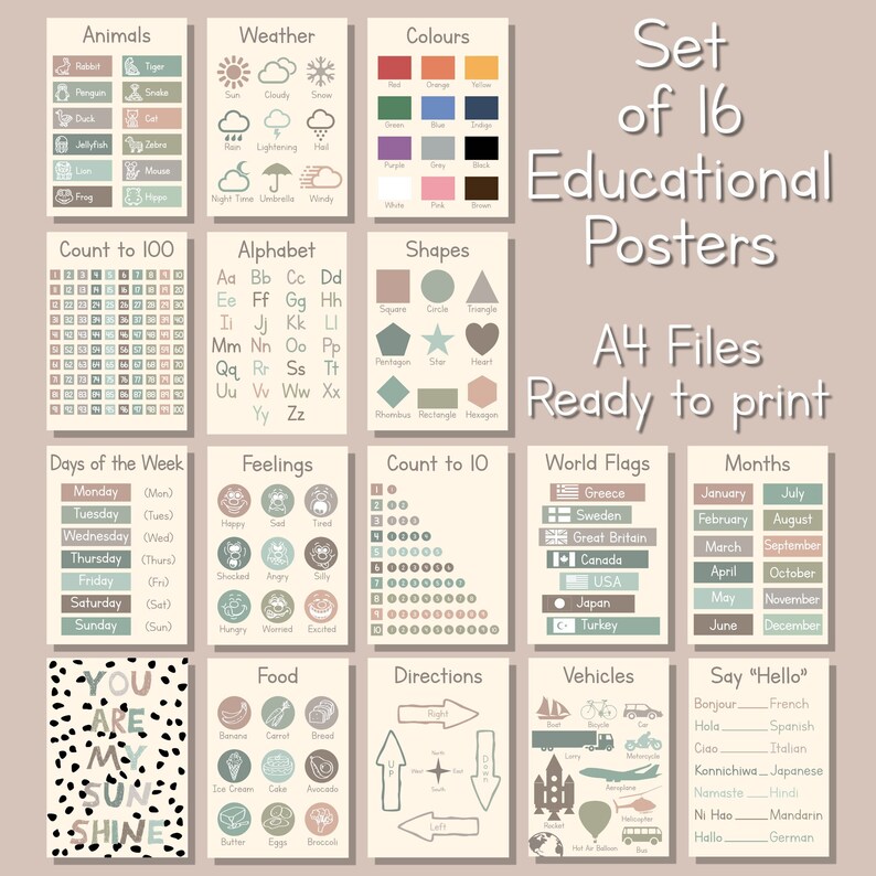 Set of 16 Educational Poster Set for Playroom or Nursery, Kids and ...