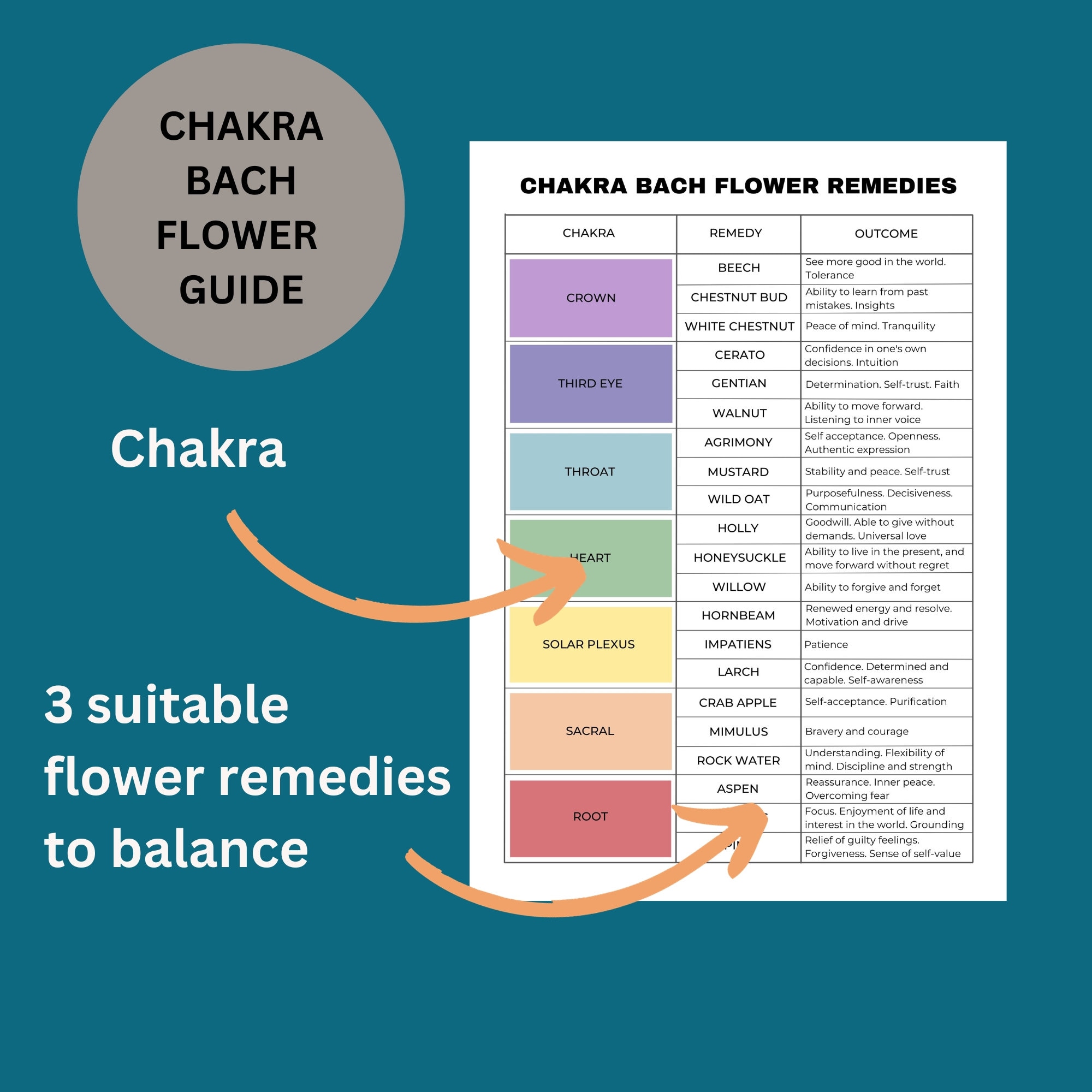 Bach Flower Bundle, Bach Flower Remedies Guide, Chakra Bach Flower ...