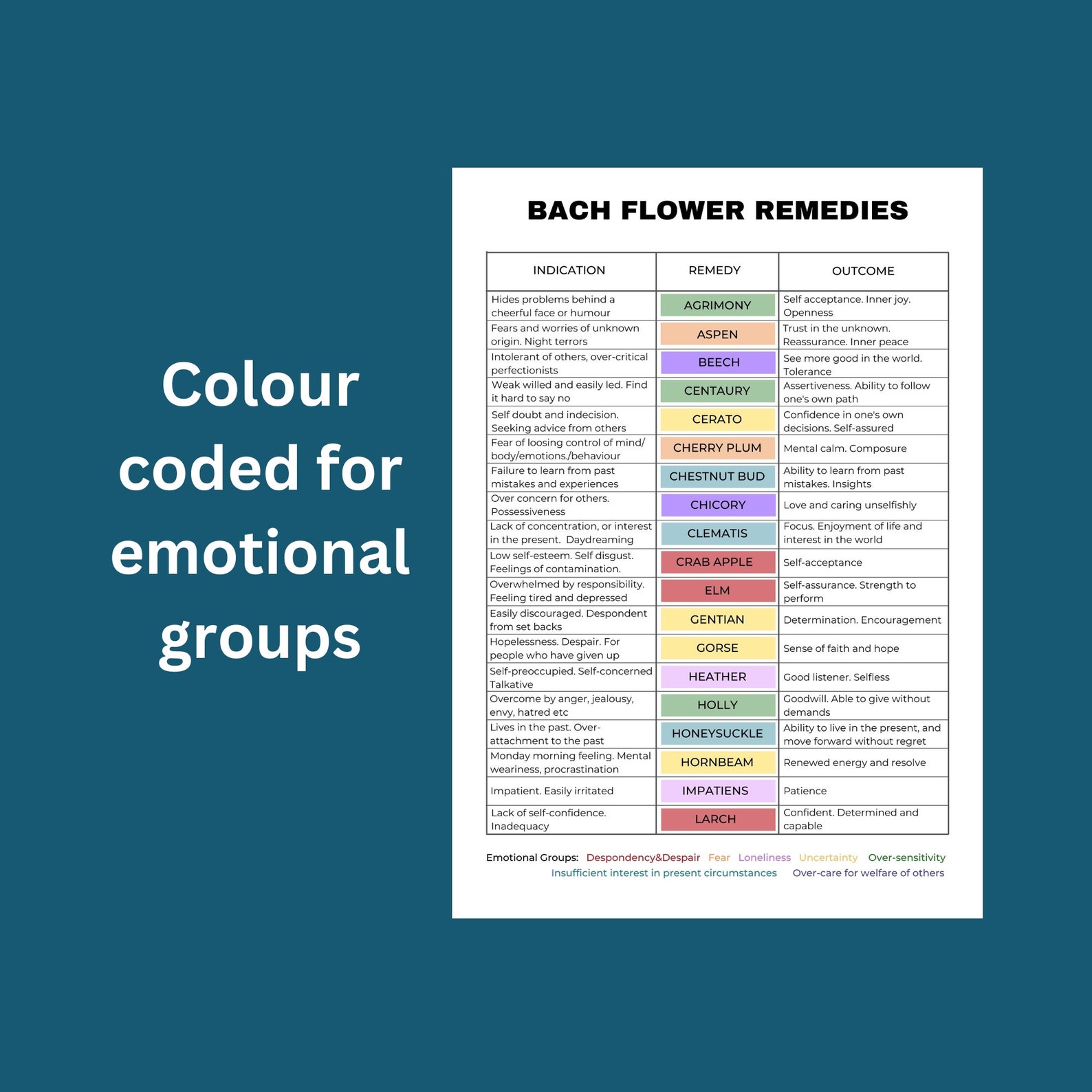 Bach Flower Remedies Chart, 38 Bach Flower Remedy Poster, Bach Flower ...