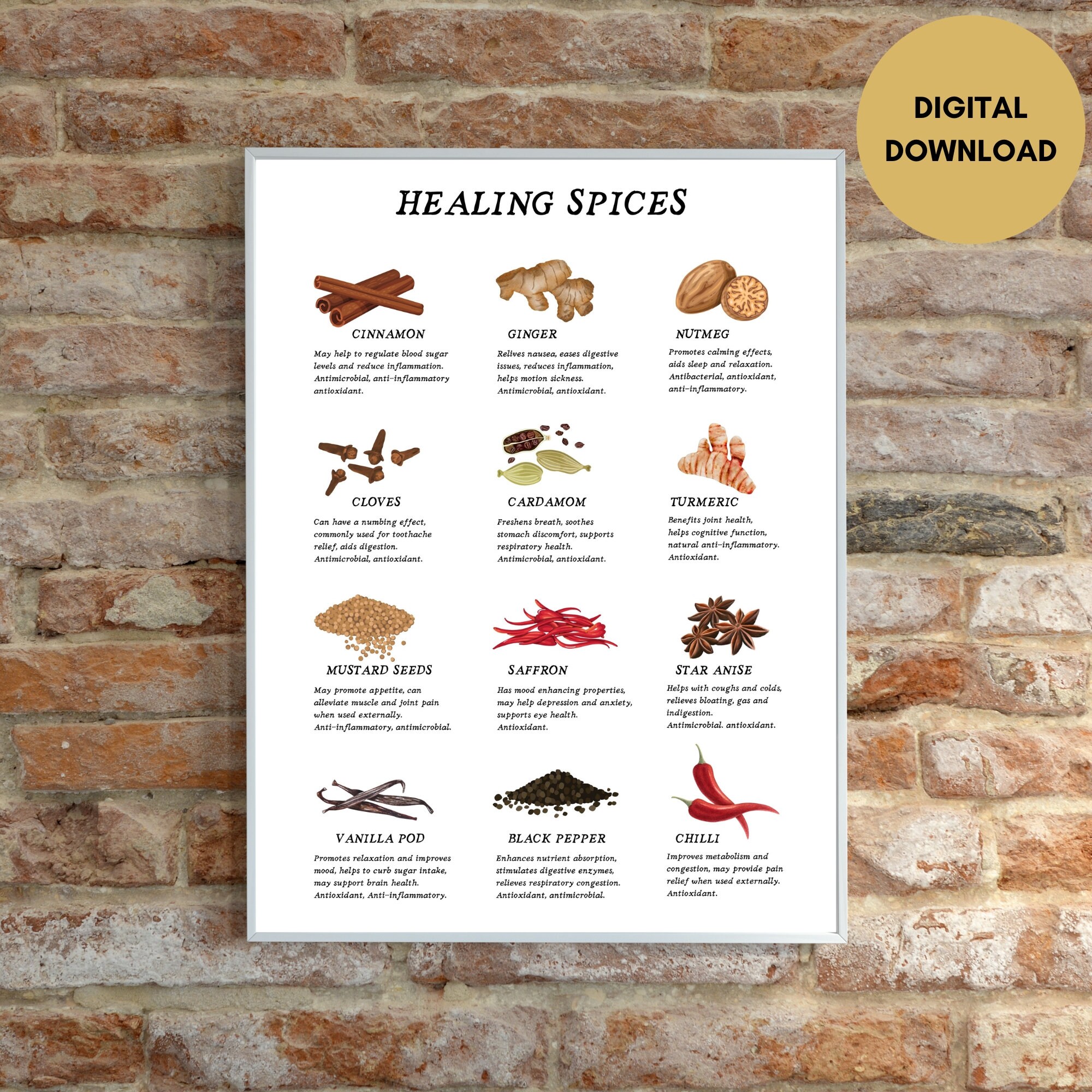 Healing Spices Print, Digital Download, Spice Poster, Spice Guide ...