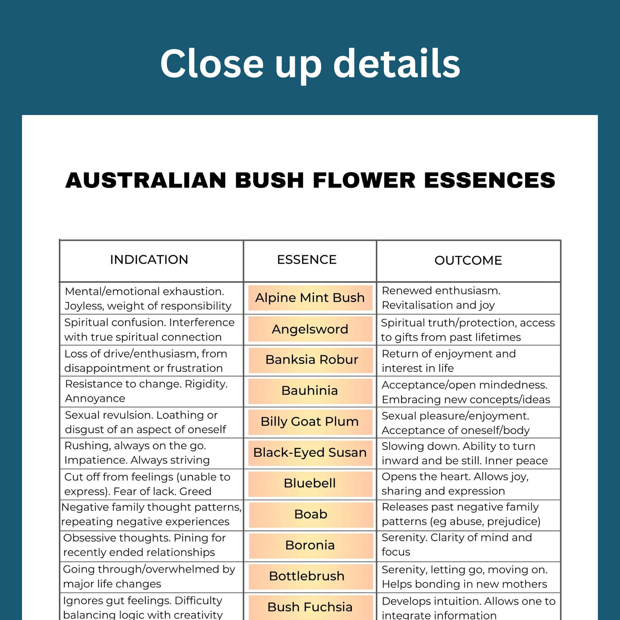 Bush Flower Essence Chart, Australian Bush Flower Essence Guide ...