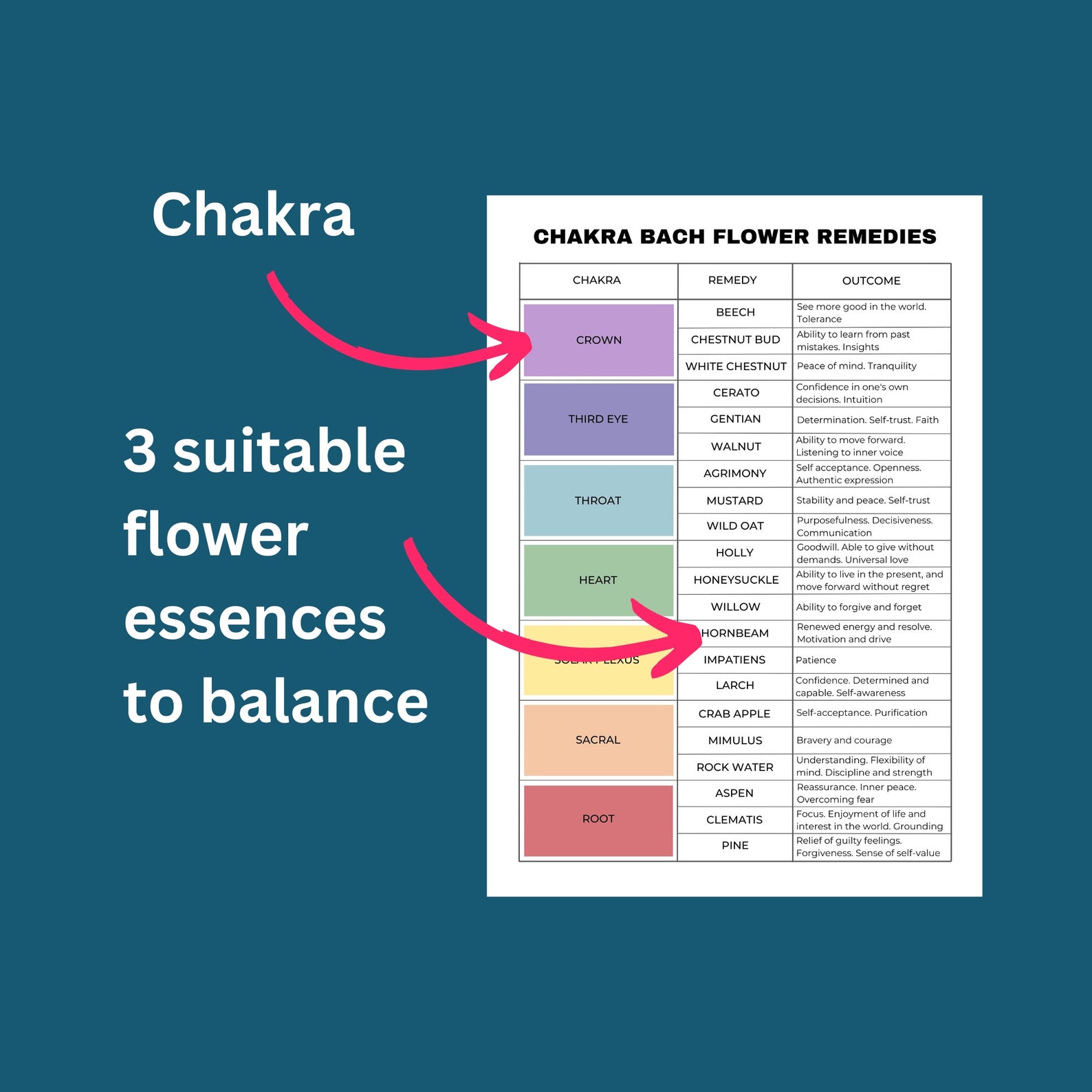 Chakra Bach Flower Remedies Chart, Digital Download, Chakra Flower ...