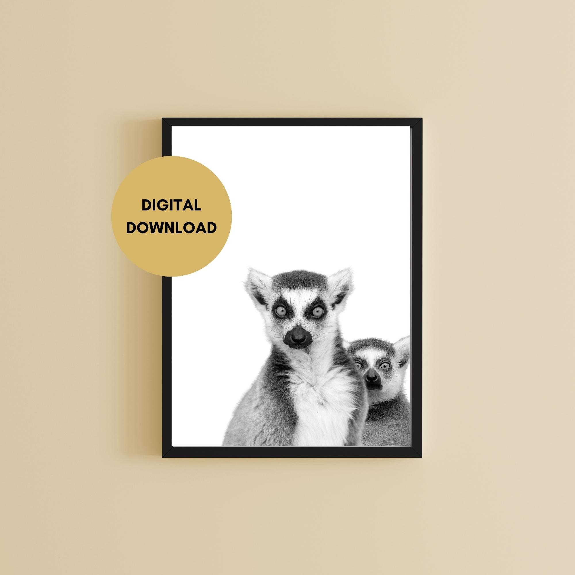 Lemur Printable Digital Download Black and White Photo - Etsy UK