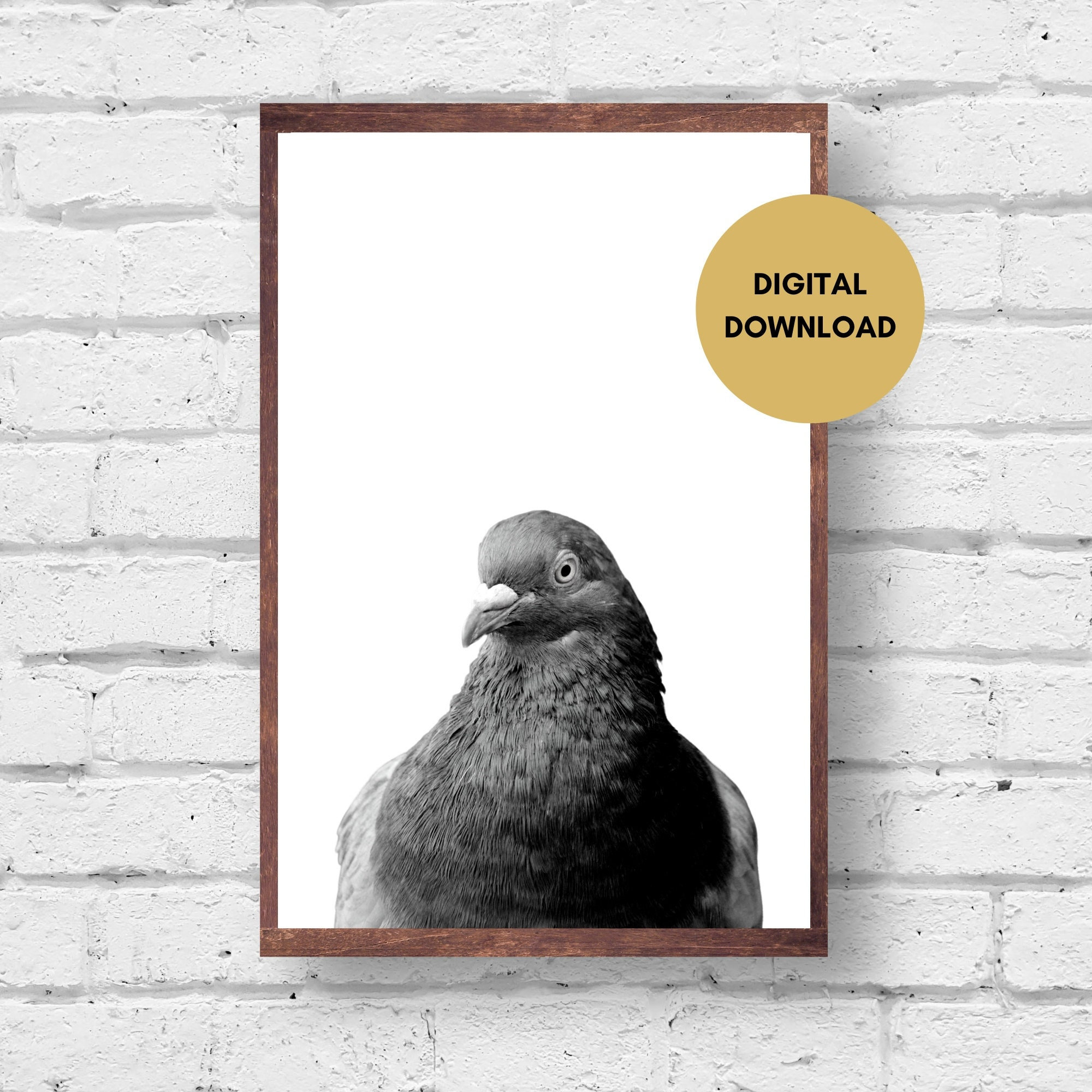 Pigeon Print, Digital Download, Black and White, Pigeon Printable Wall ...