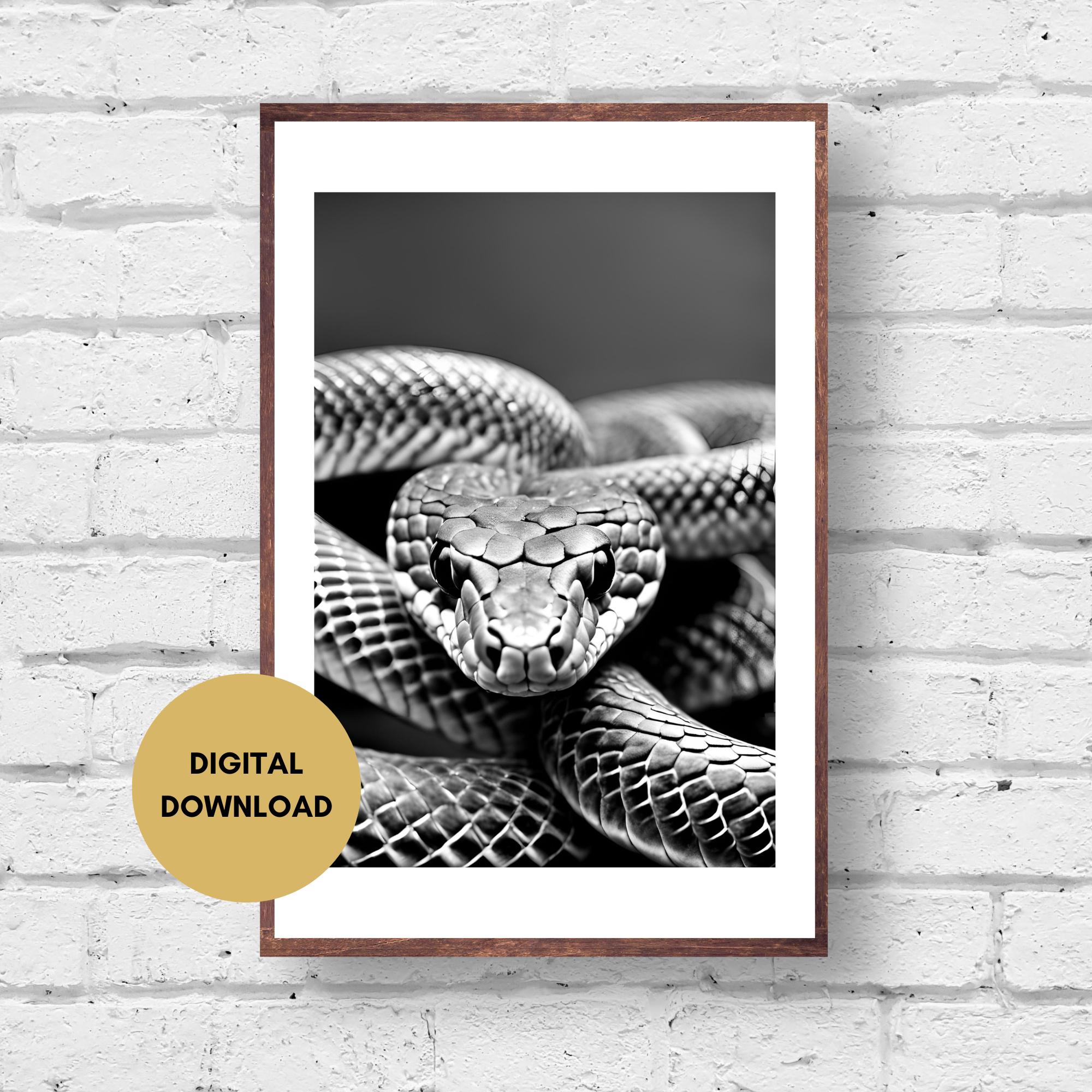 Snake Print, Digital Download, Snake Photo, Black and White, Printable ...
