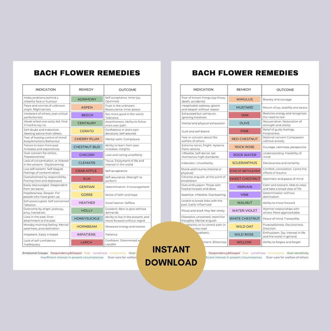 Bach Flower Remedies Chart, 38 Bach Flower Remedy Poster, Bach Flower ...