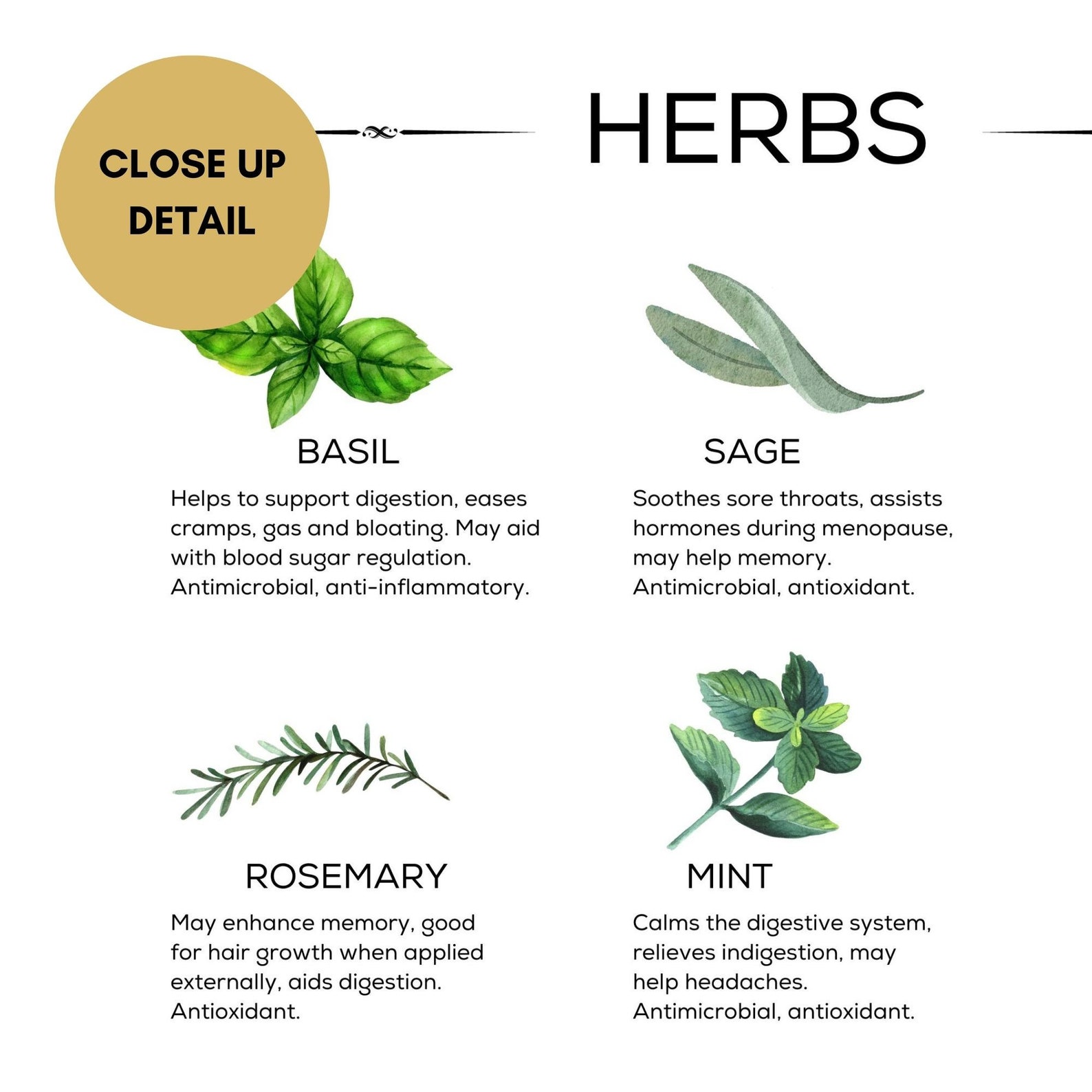 Herbs and Spices Print Set, Digital Download, Herbs and Spice for ...