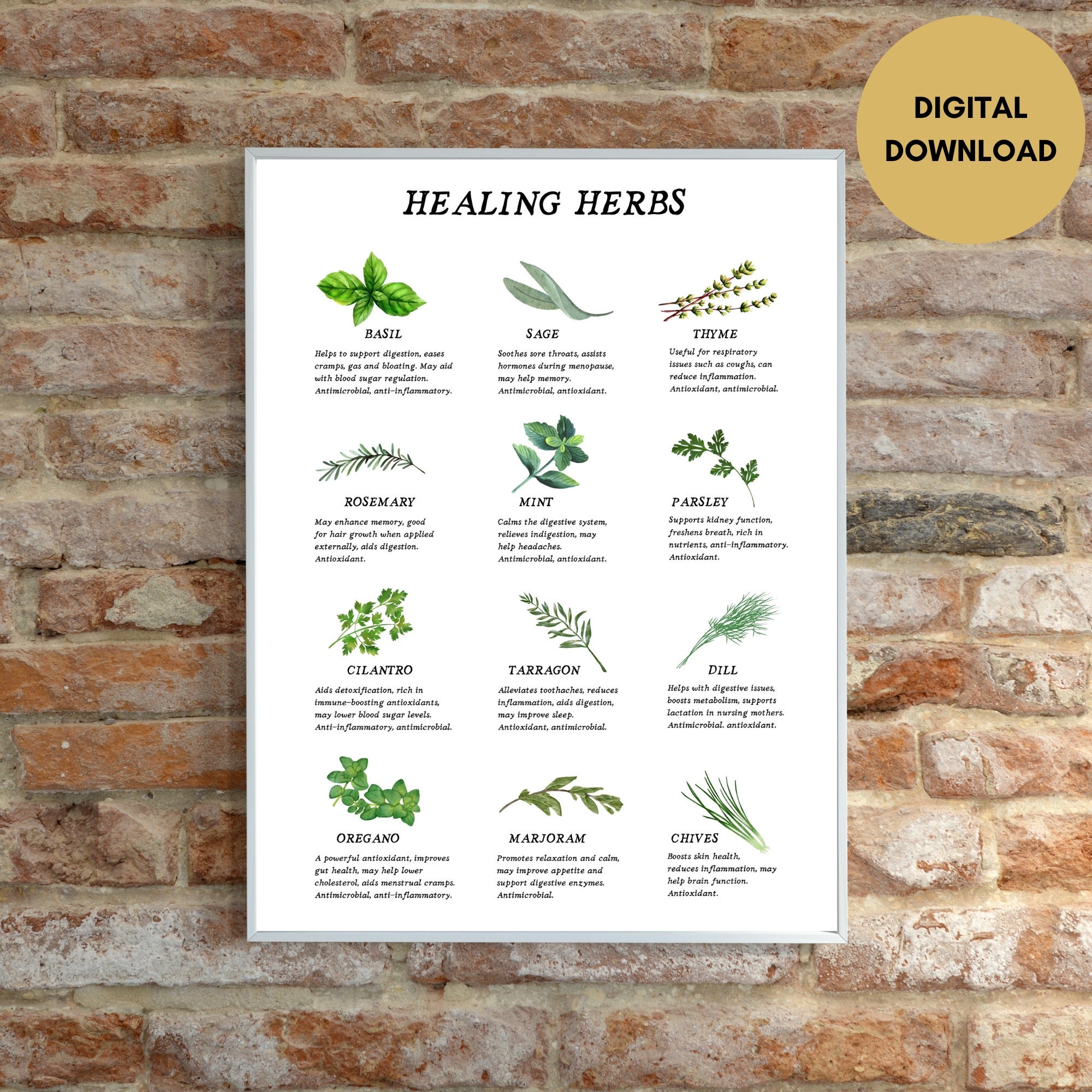 Healing Herbs Print, Digital Download, Herbs Poster, Herb Guide, Herb ...