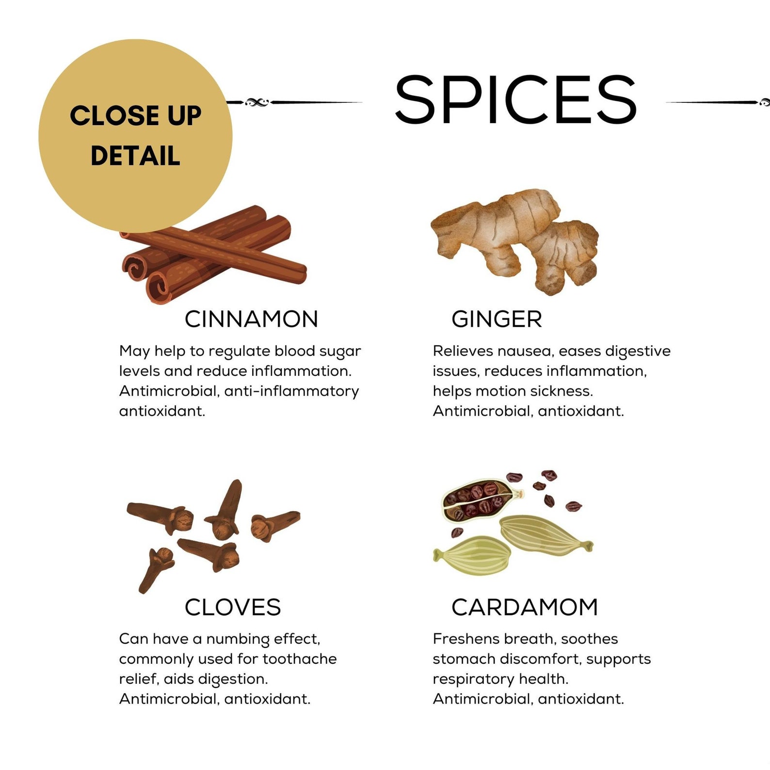 Herbs and Spices Print Set, Digital Download, Herbs and Spice for ...
