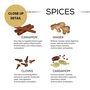Herbs and Spices Print Set, Digital Download, Herbs and Spice for ...