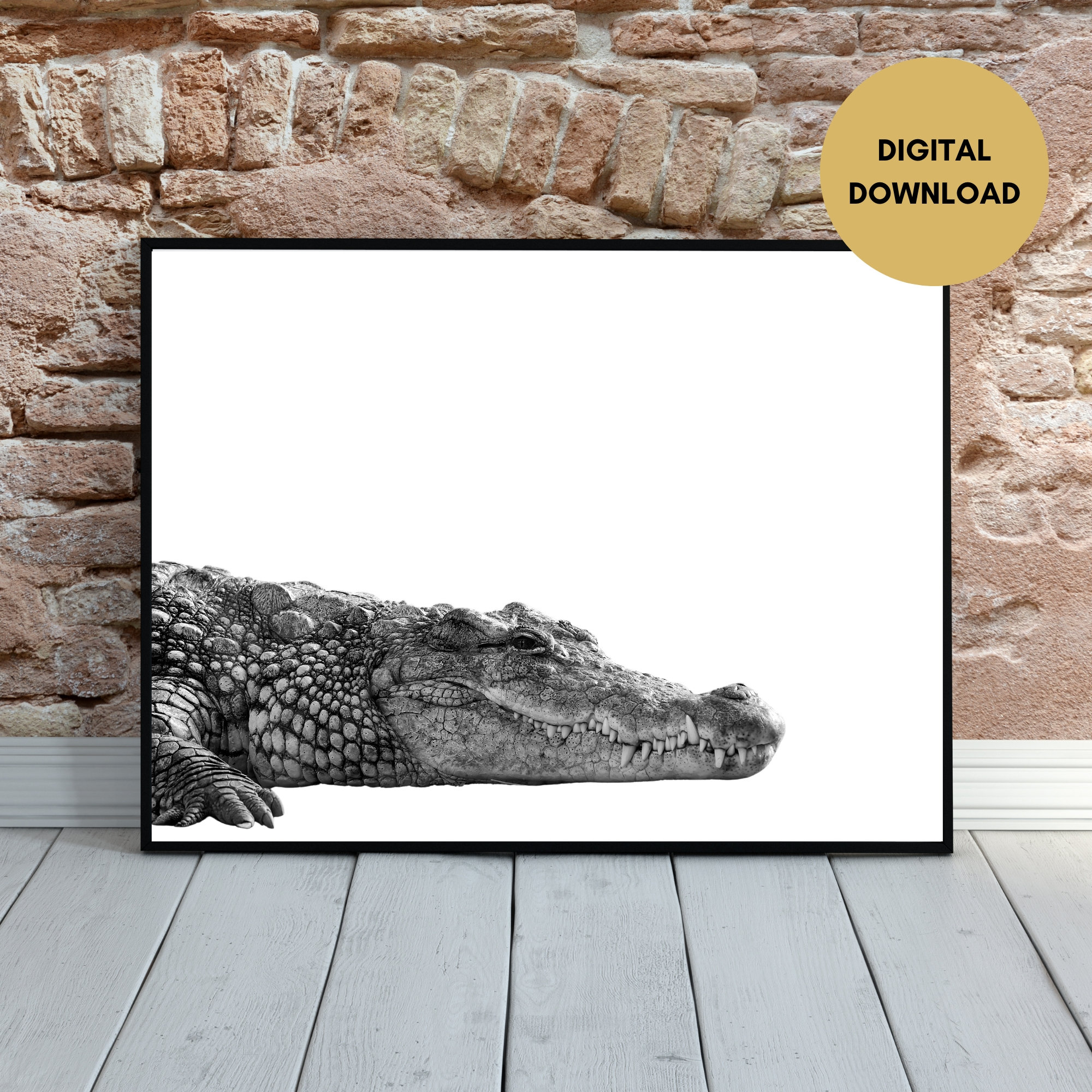 Alligator Digital Download, Cool Crocodile Photo Black and White ...